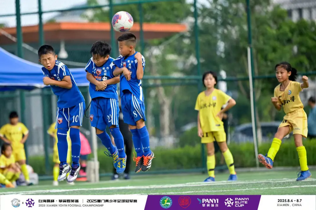 "White Dolphin Cup · Panyi Elite Cup" Concludes Successfully: Jointly ...