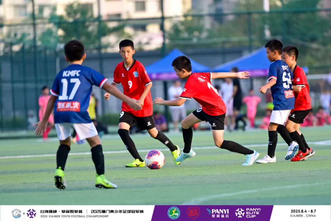 "White Dolphin Cup · Panyi Elite Cup" Concludes Successfully: Jointly ...